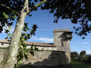 Torres de Mens Castle | Every Castle